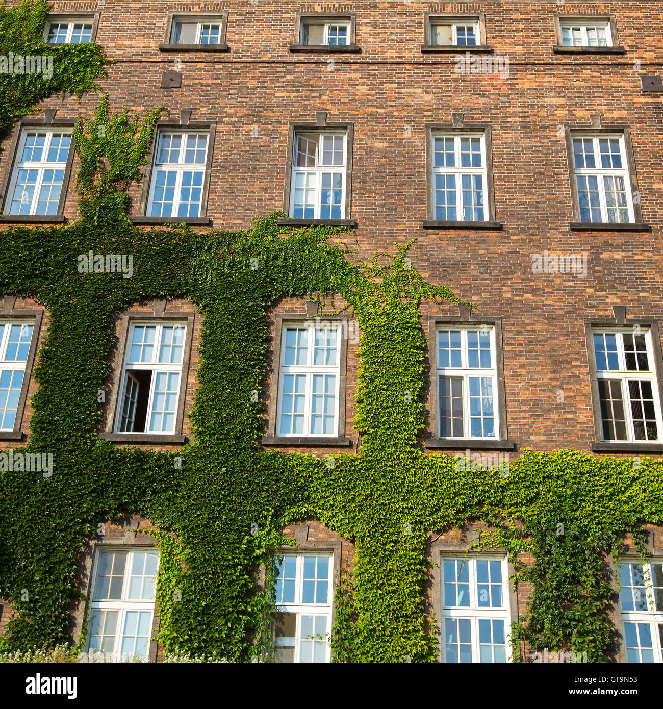 Windows of Wawel Castle in Krakow, Poland Stock Photo - Alamy