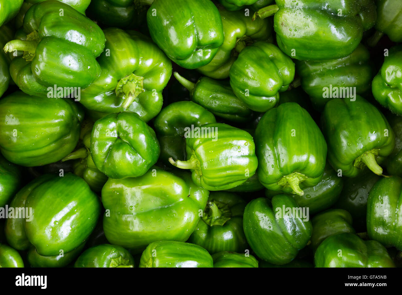 Full frame background of freshly picked and washed green peppers for ...