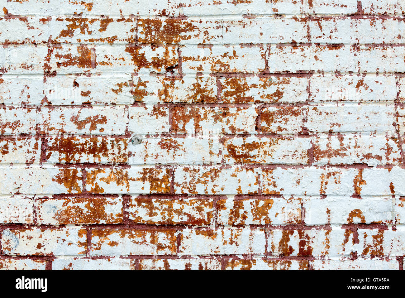 Scratched up white painted brick wall for background with copy space ...