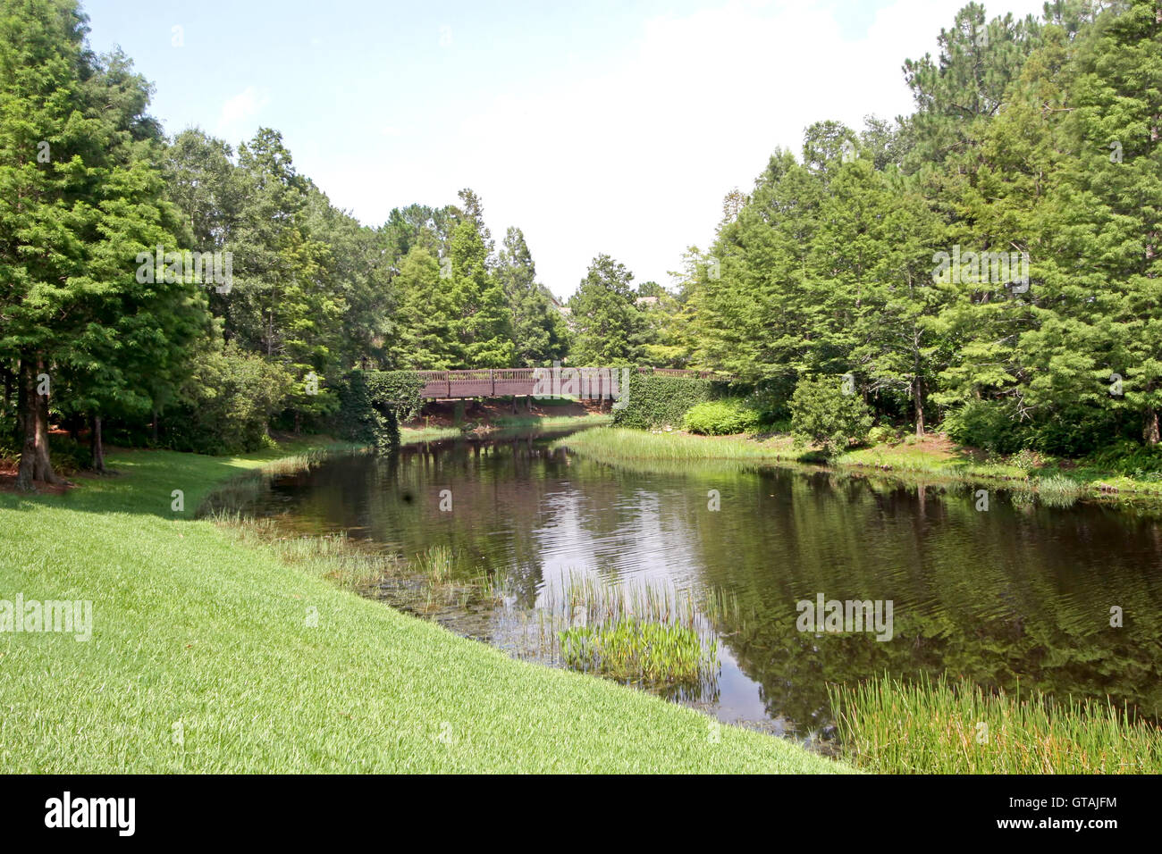 A bridge over a river in the countryside Stock Photo - Alamy