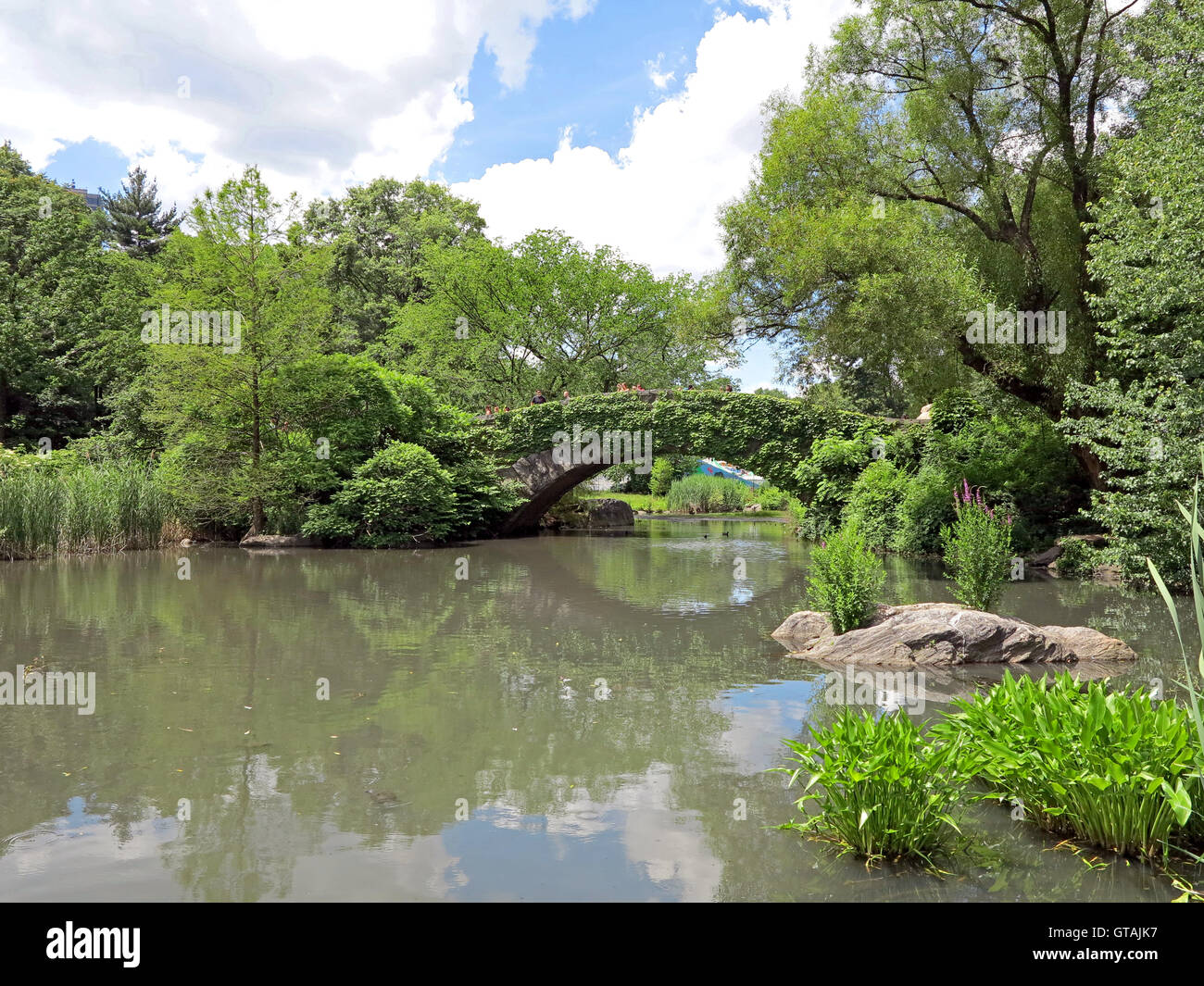 A bridge with ivy over a river Stock Photo - Alamy
