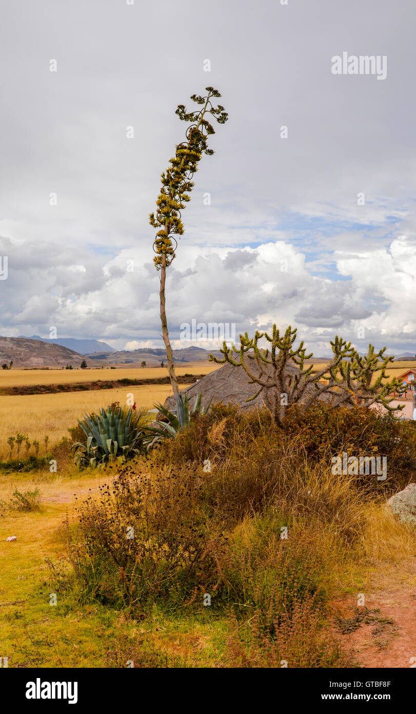 Panoramic view of the mountain landscape and countryside of Peru Stock ...