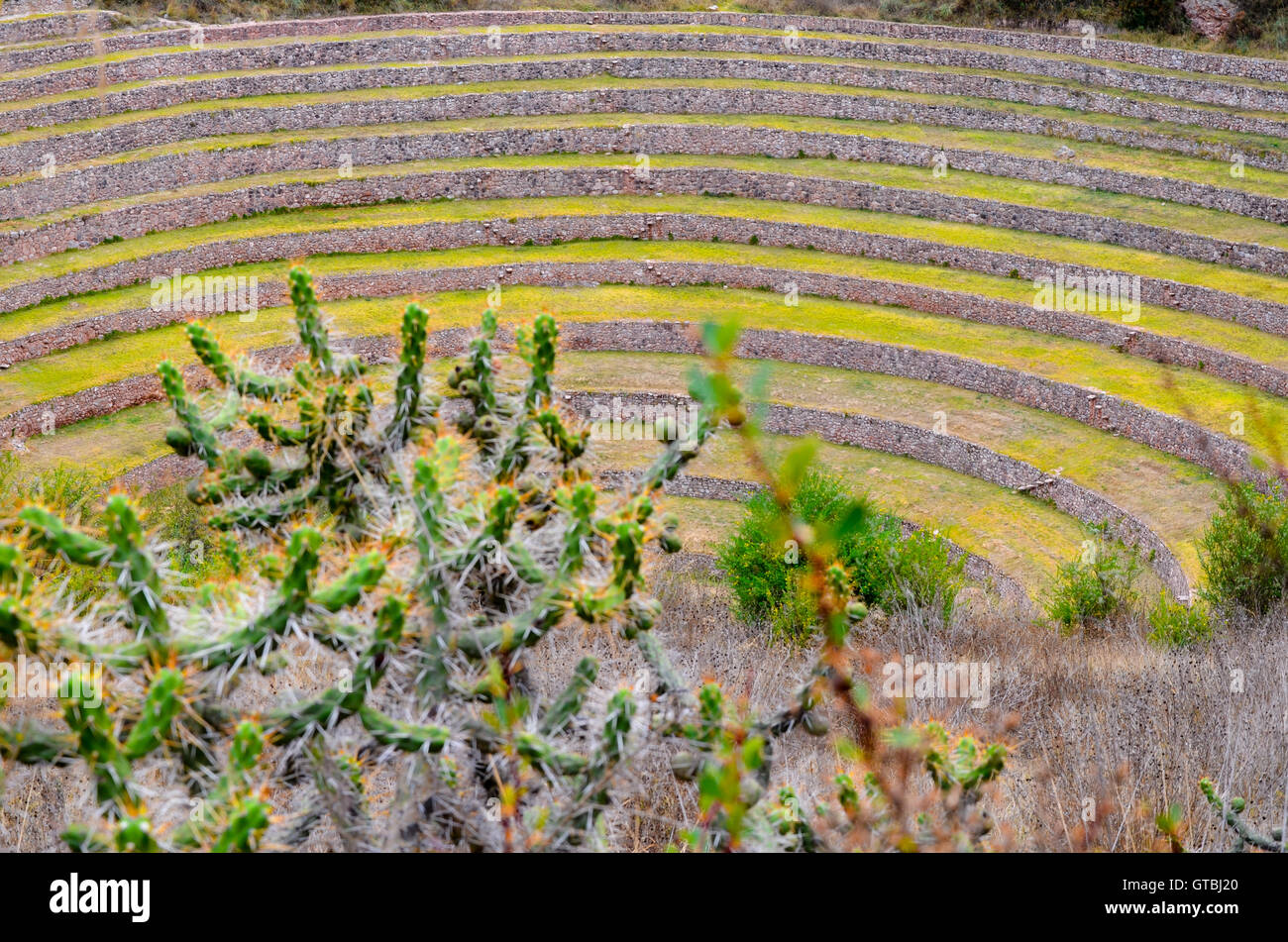Ancient Inca circular agricultural terraces at Moray used to study the ...