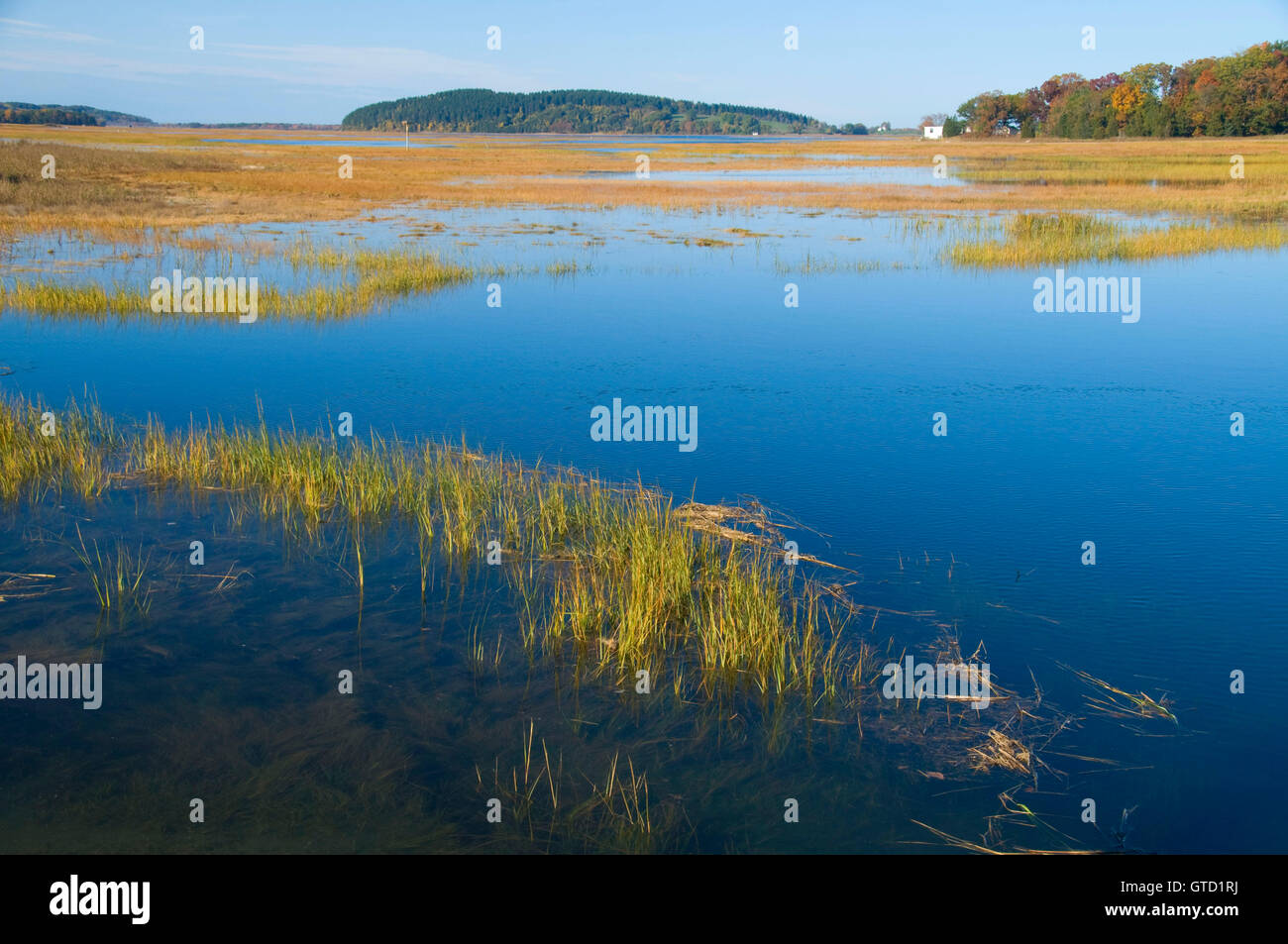 Essex Salt Marsh, Ipswitch, Massachusetts Stock Photo - Alamy