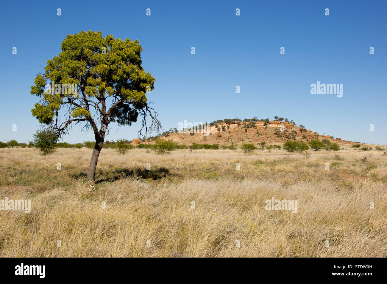 Australia Outback Grassland Grass High Resolution Stock Photography and ...