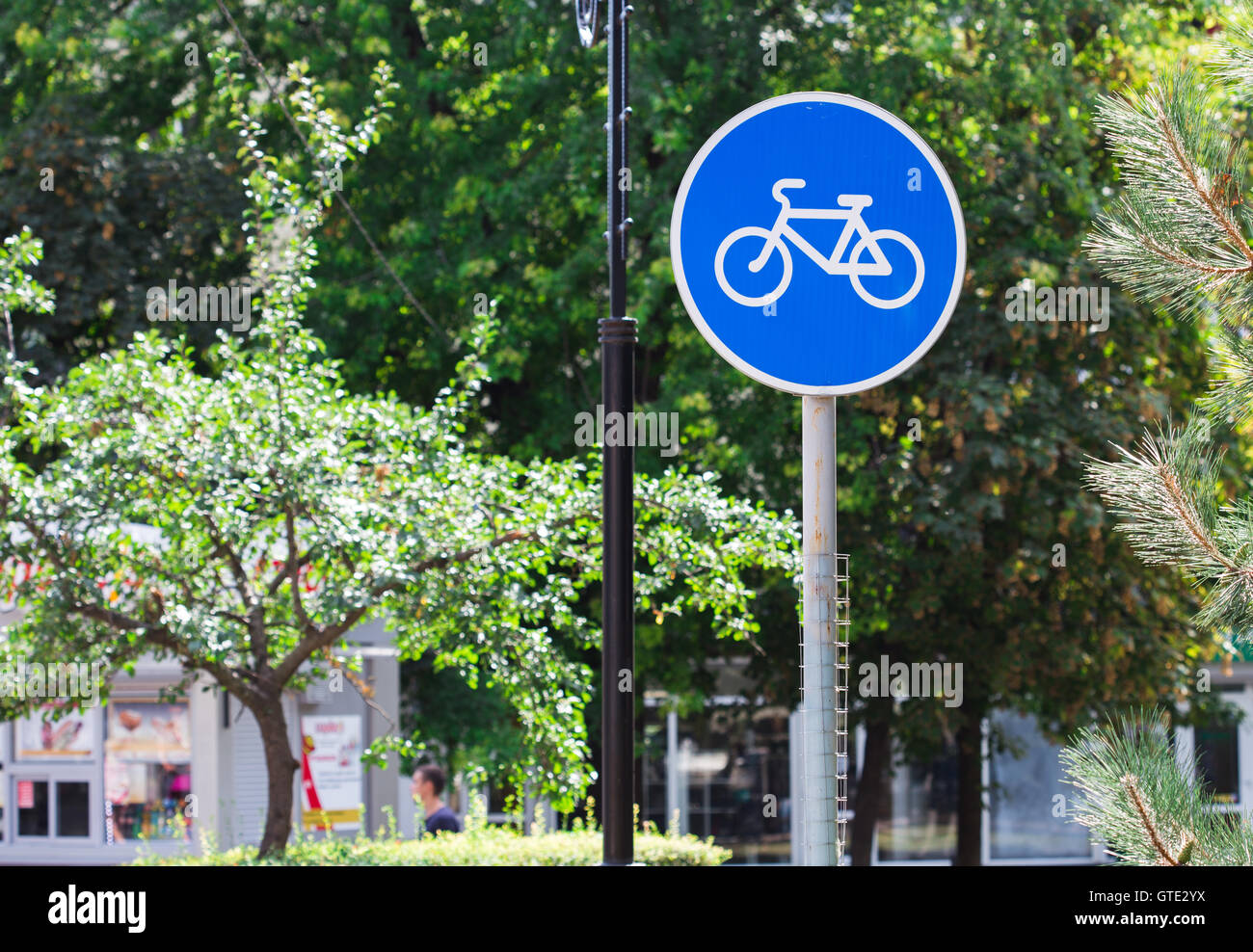 Blue bicycle lane sign with trees background Stock Photo - Alamy