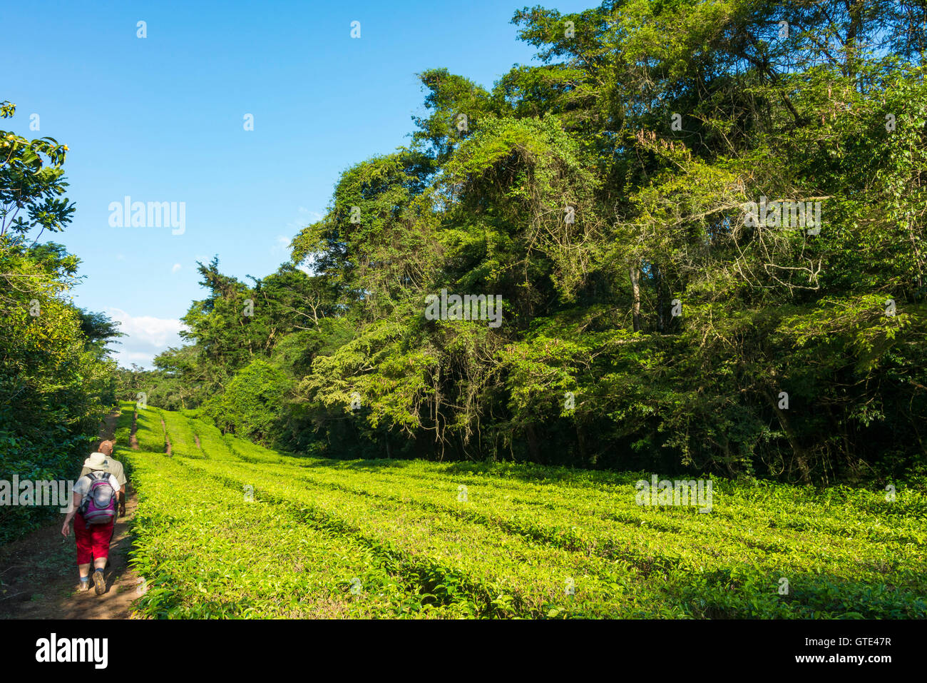 Mutarazi falls hi-res stock photography and images - Alamy