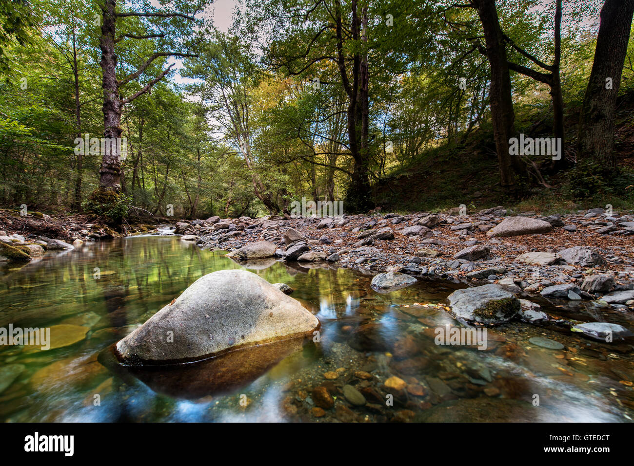 Autumn landscape with trees and river Stock Photo - Alamy