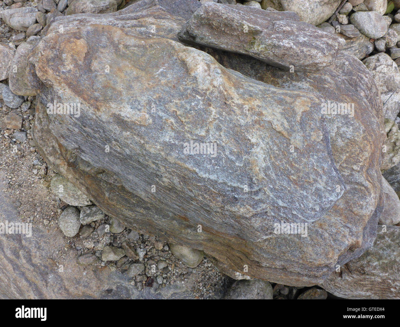 Human texture hi-res stock photography and images - Alamy