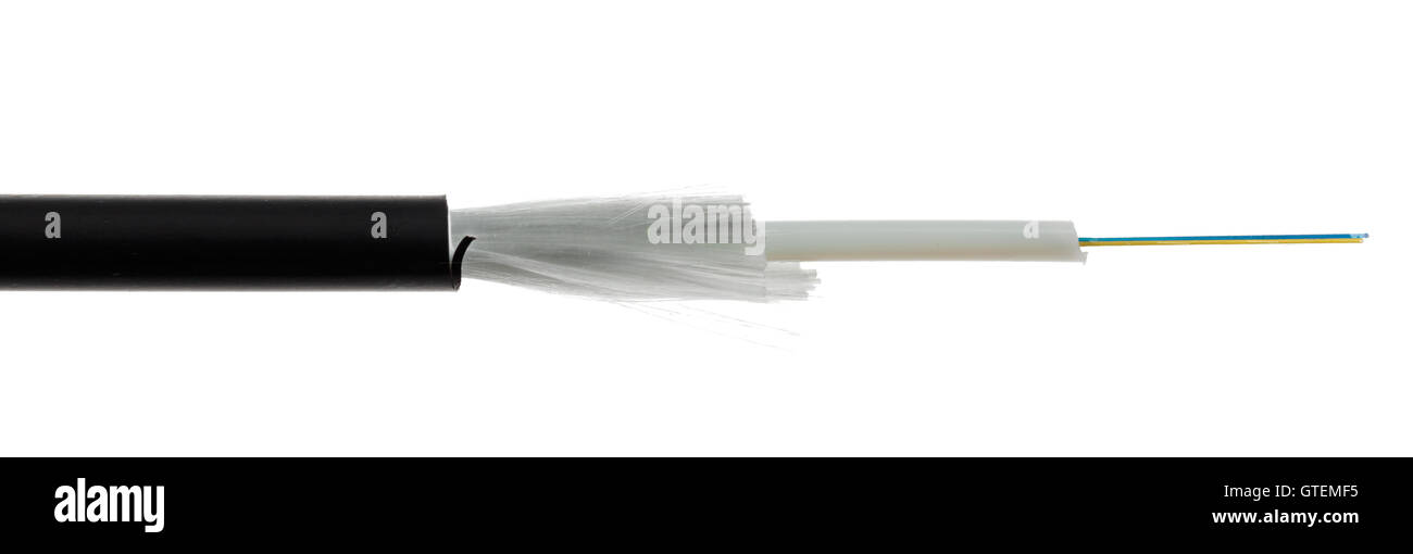 Fiber optic, optical cable detail isolated on white background. Loose ...