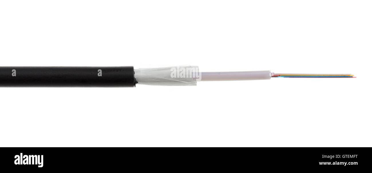 Fiber optic, optical cable detail isolated on white background. Loose ...