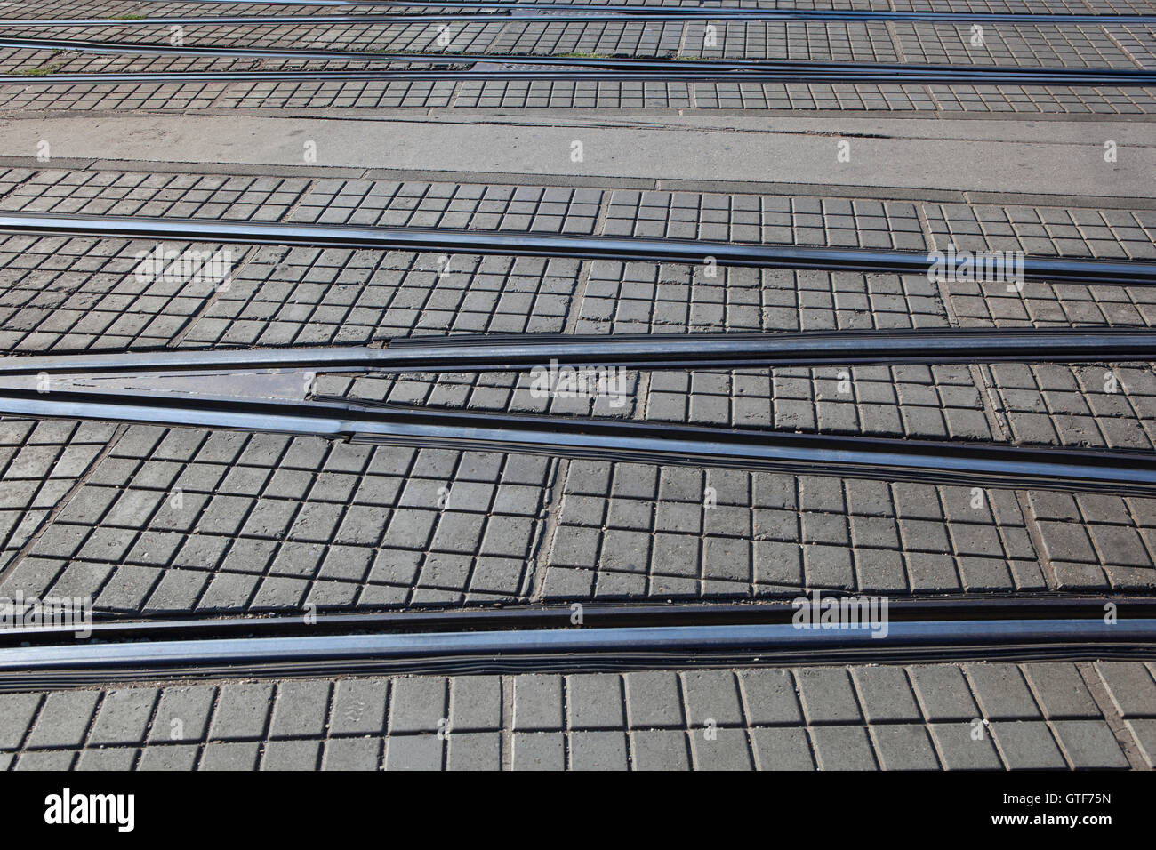 Several crossed tram rails in a paved urban road Stock Photo - Alamy