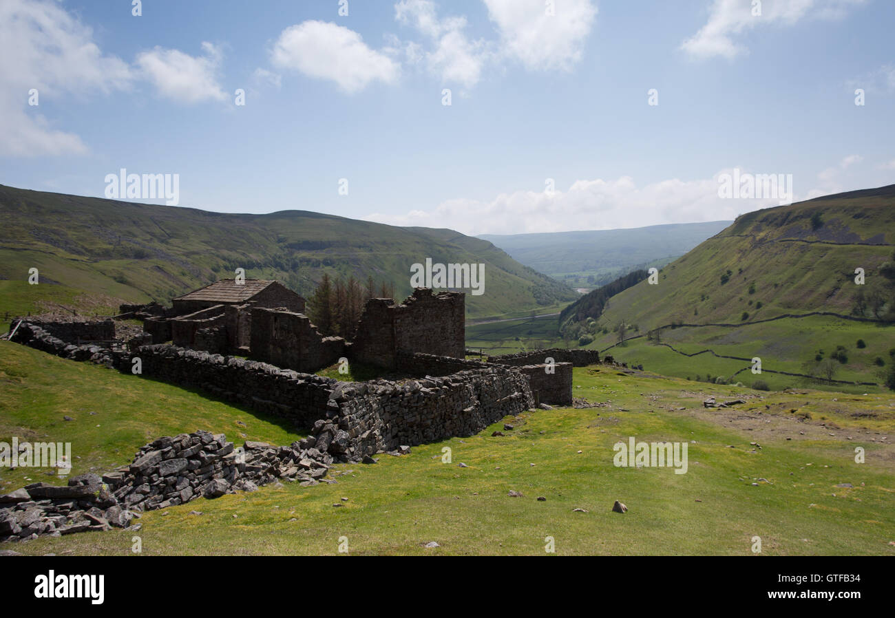 Upper Swaledale from Crackpot Hall, between Muker and Keld in North ...