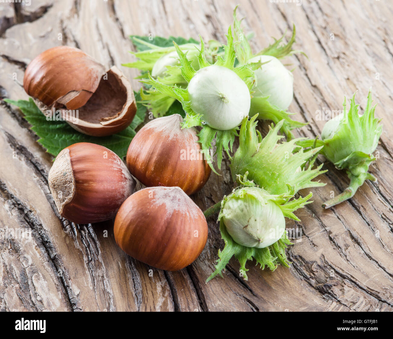Young hazelnuts and ripe brown hazelnuts on the wooden table Stock ...