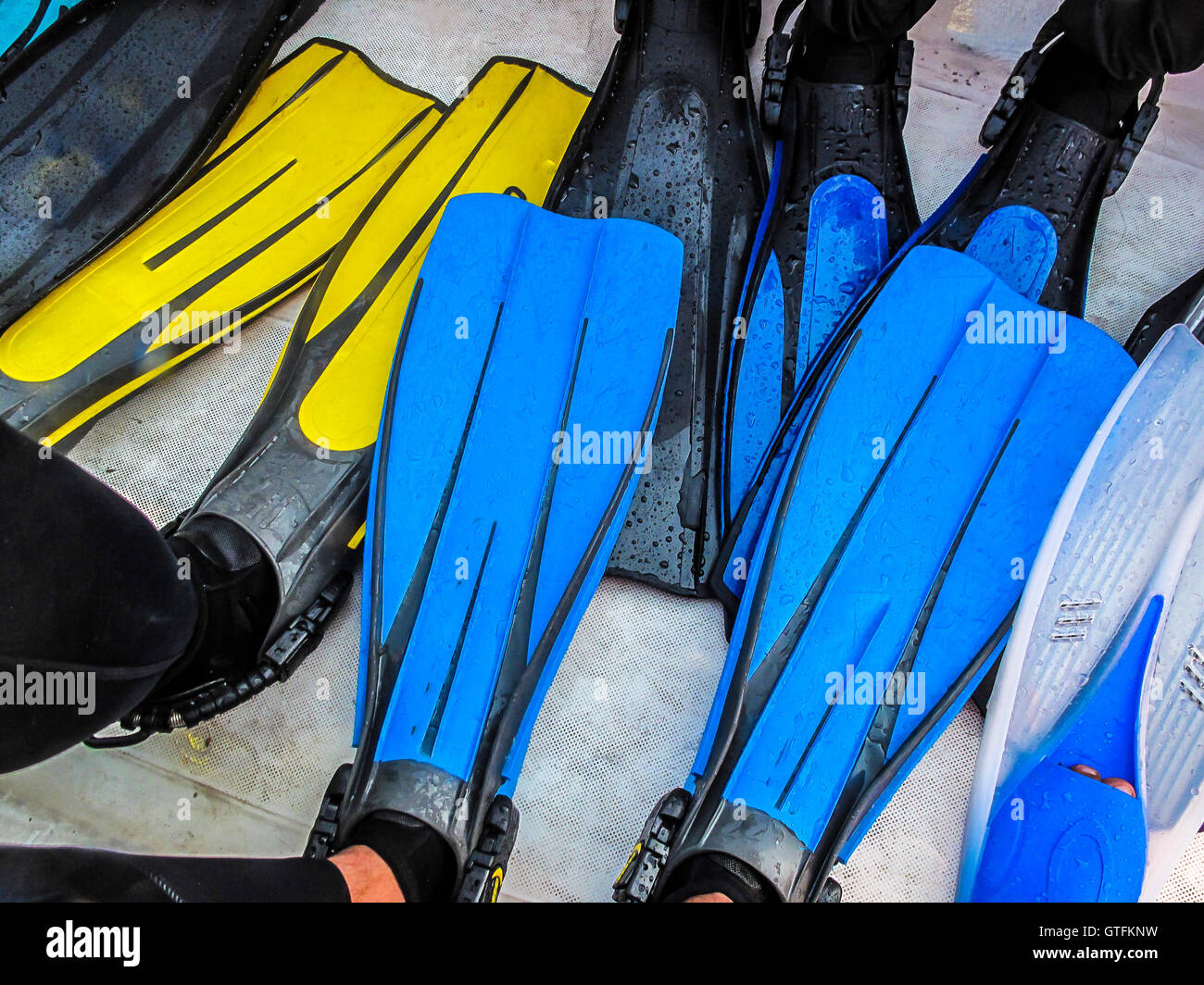 Divers wearing fins with different colors Stock Photo - Alamy