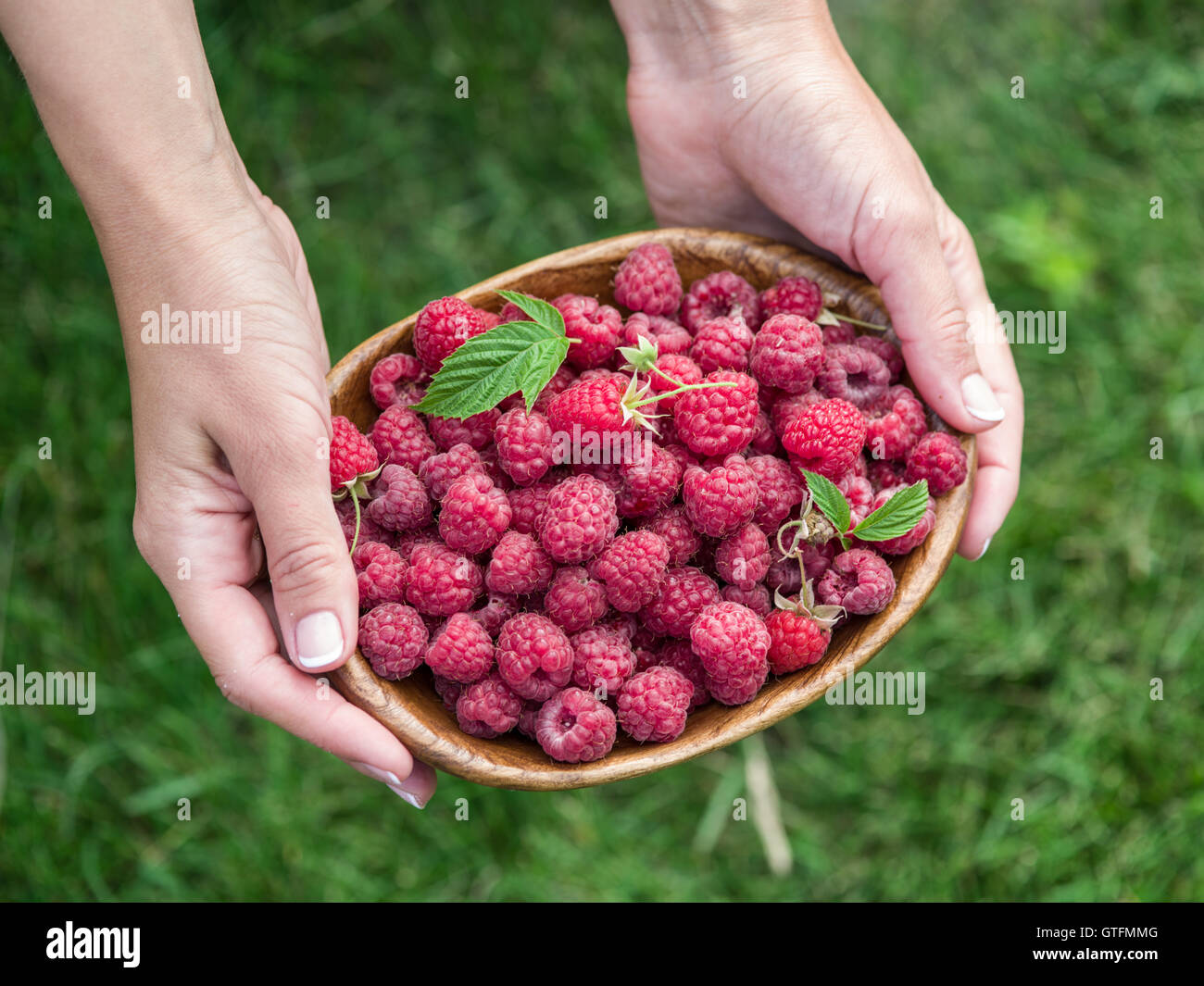 Wooden bowl full of raspberries in the female hands Stock Photo - Alamy