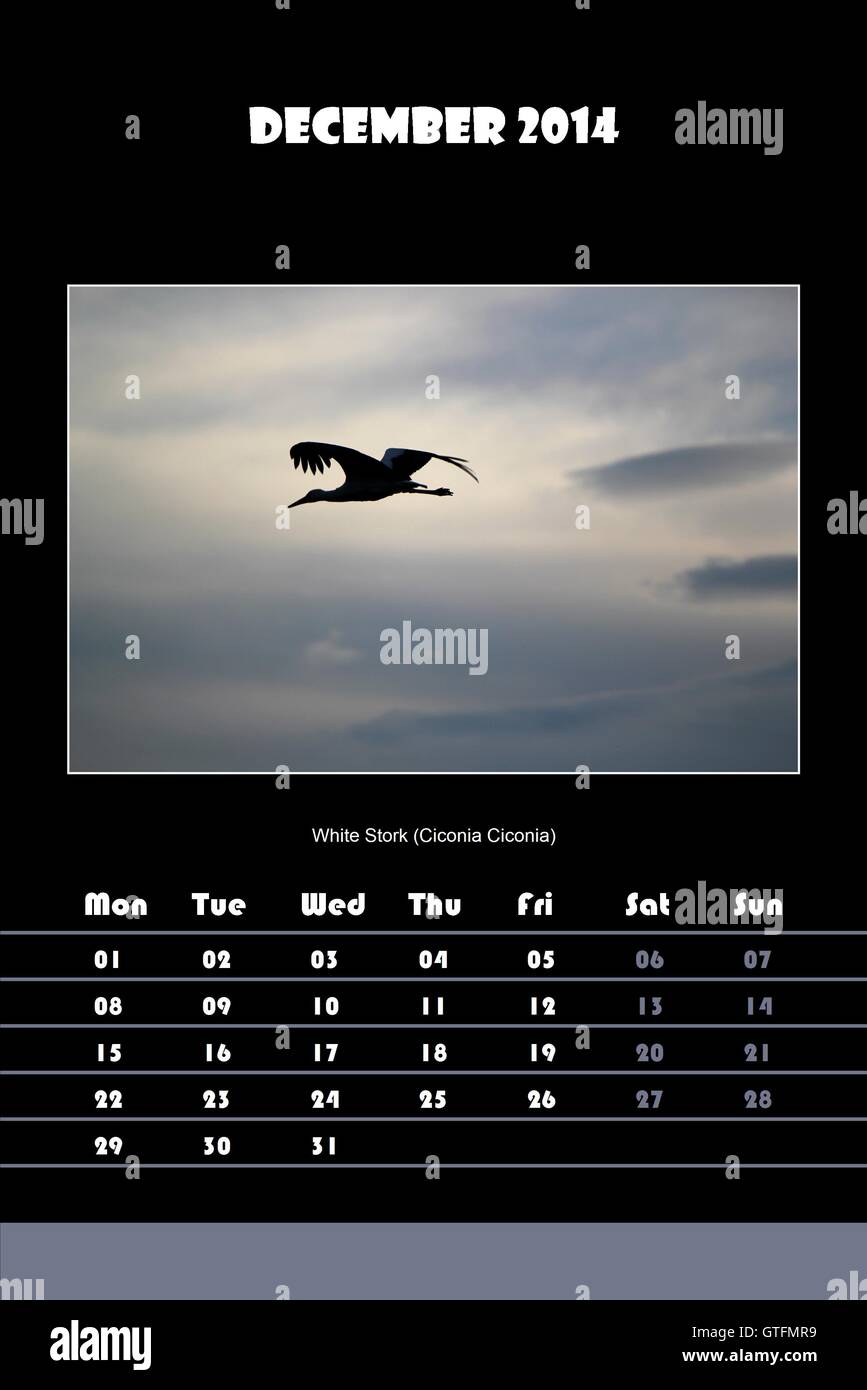 Bird calendar for 2014 - december Stock Photo - Alamy