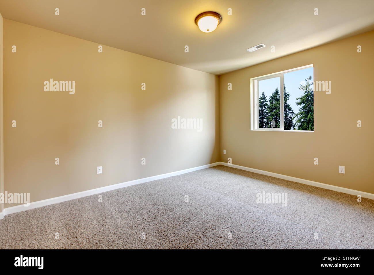 New empty room with beige carpet Stock Photo - Alamy
