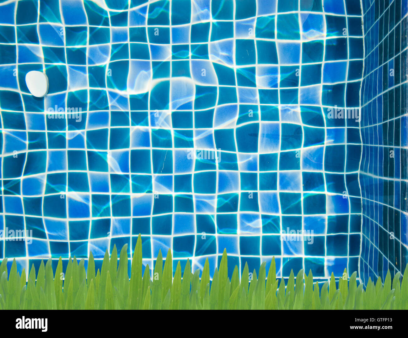 Green grass and Blue water in Swimming pool Stock Photo - Alamy