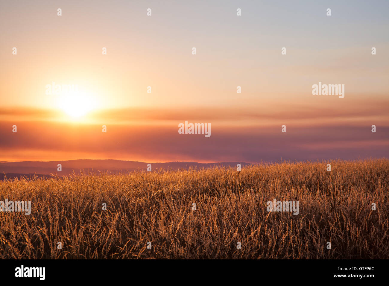 Beautiful sunset over mountain field Stock Photo - Alamy