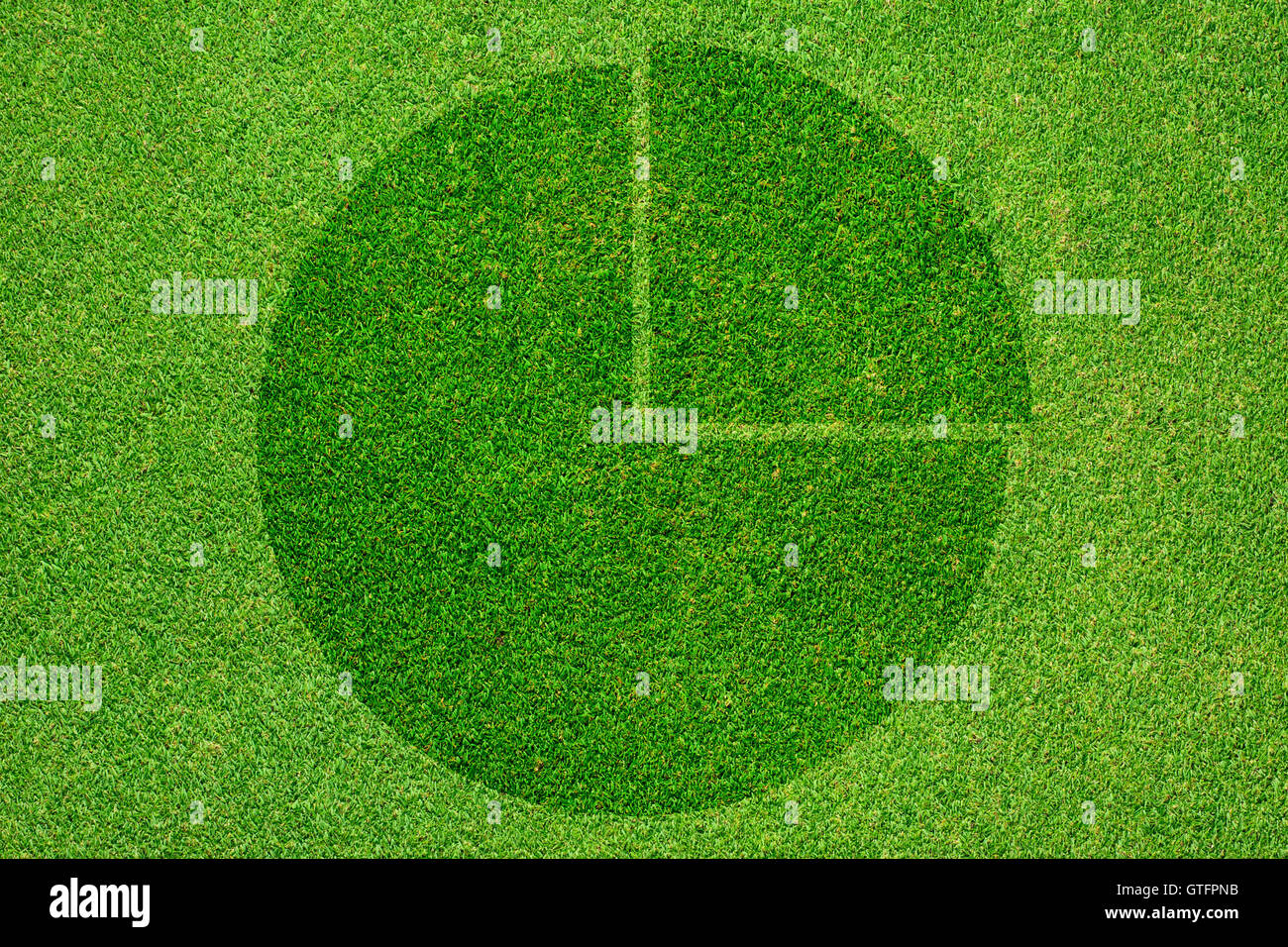 Pie chart on green grass texture and background Stock Photo - Alamy