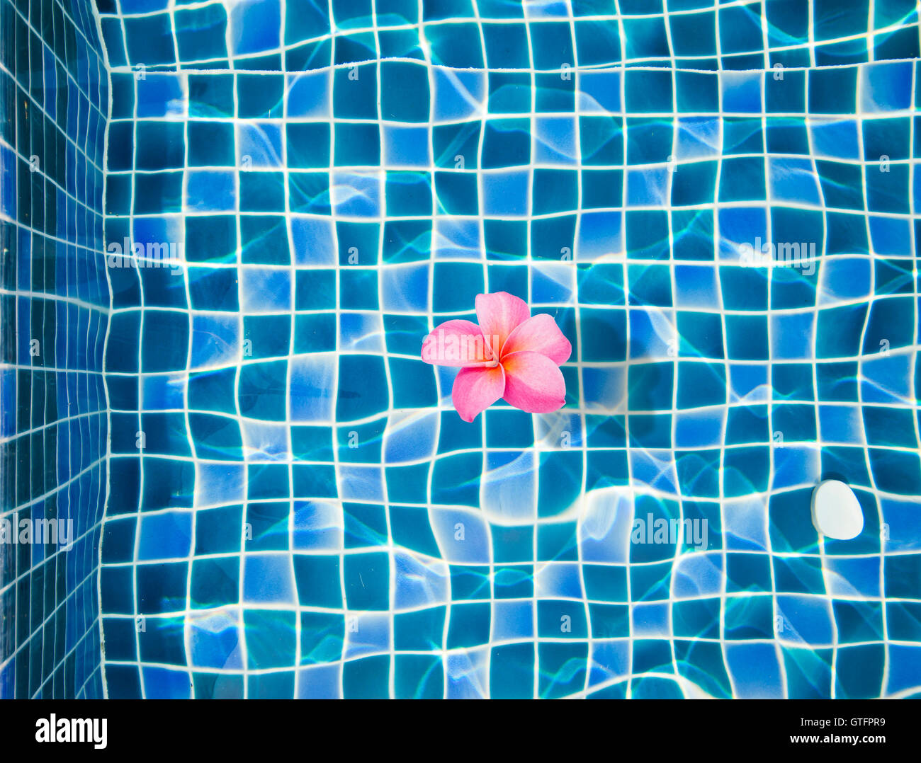 Flowers in the pool background Stock Photo - Alamy