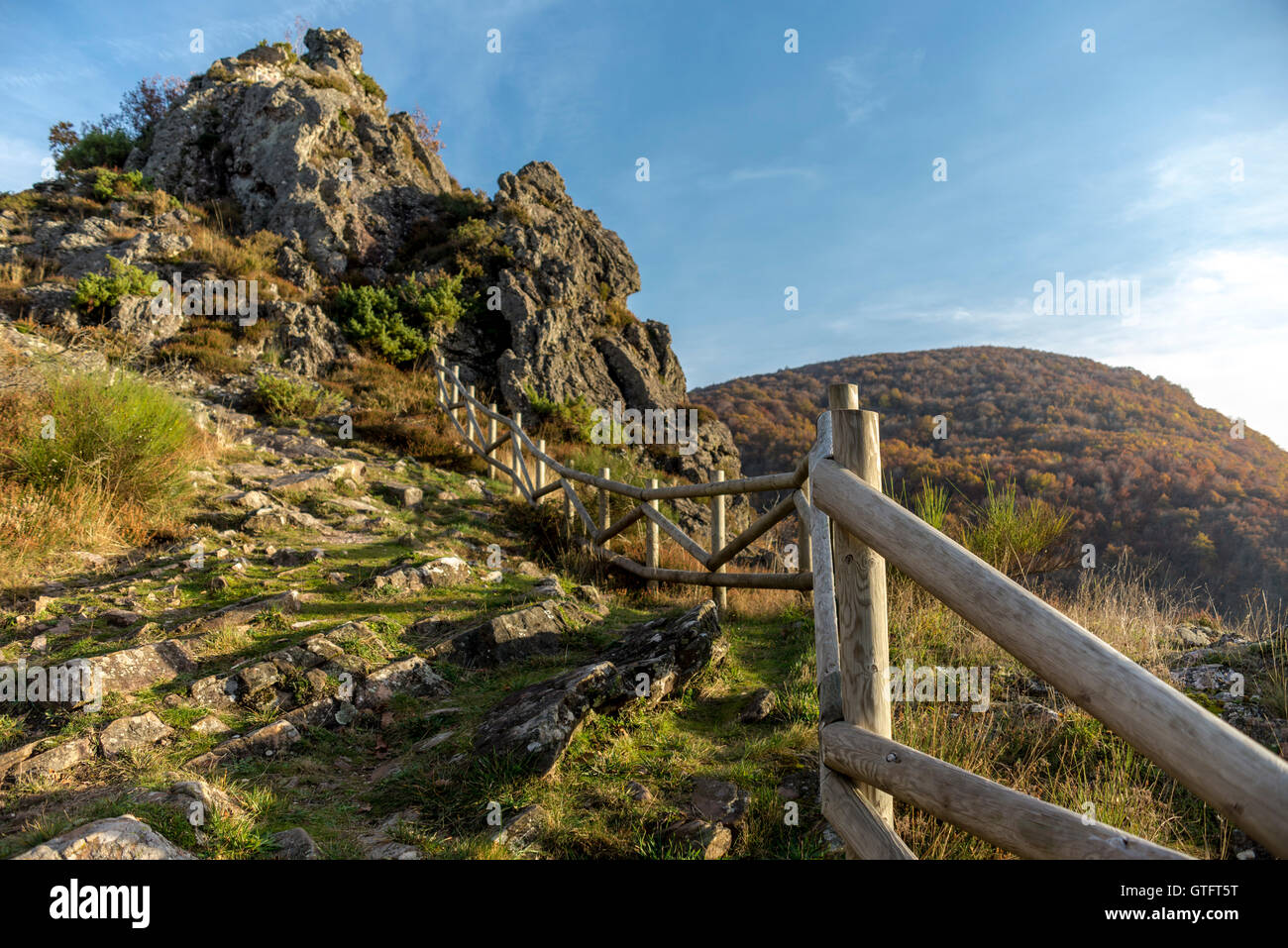 Betelu forest hi-res stock photography and images - Alamy