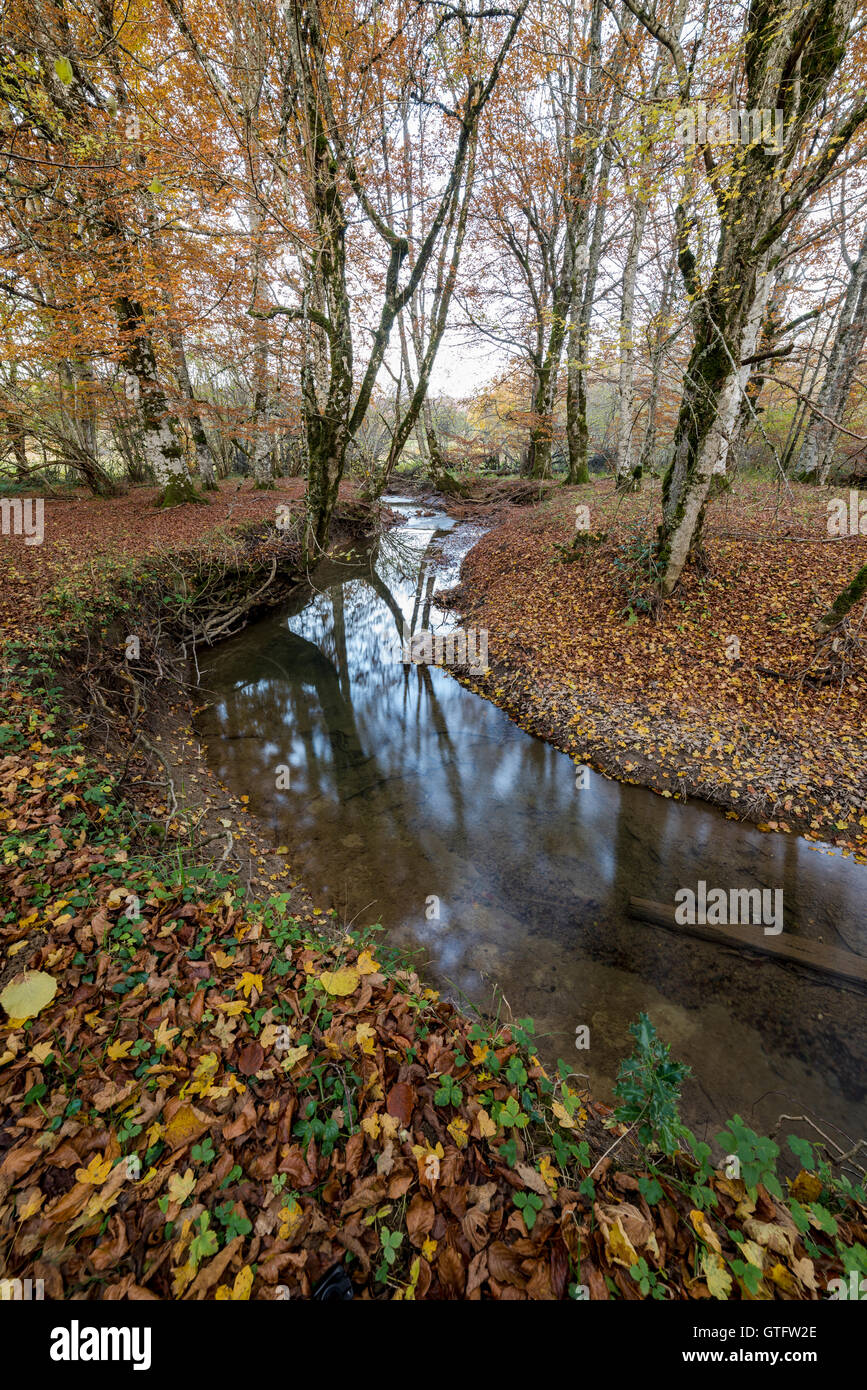 Burguete hi-res stock photography and images - Alamy