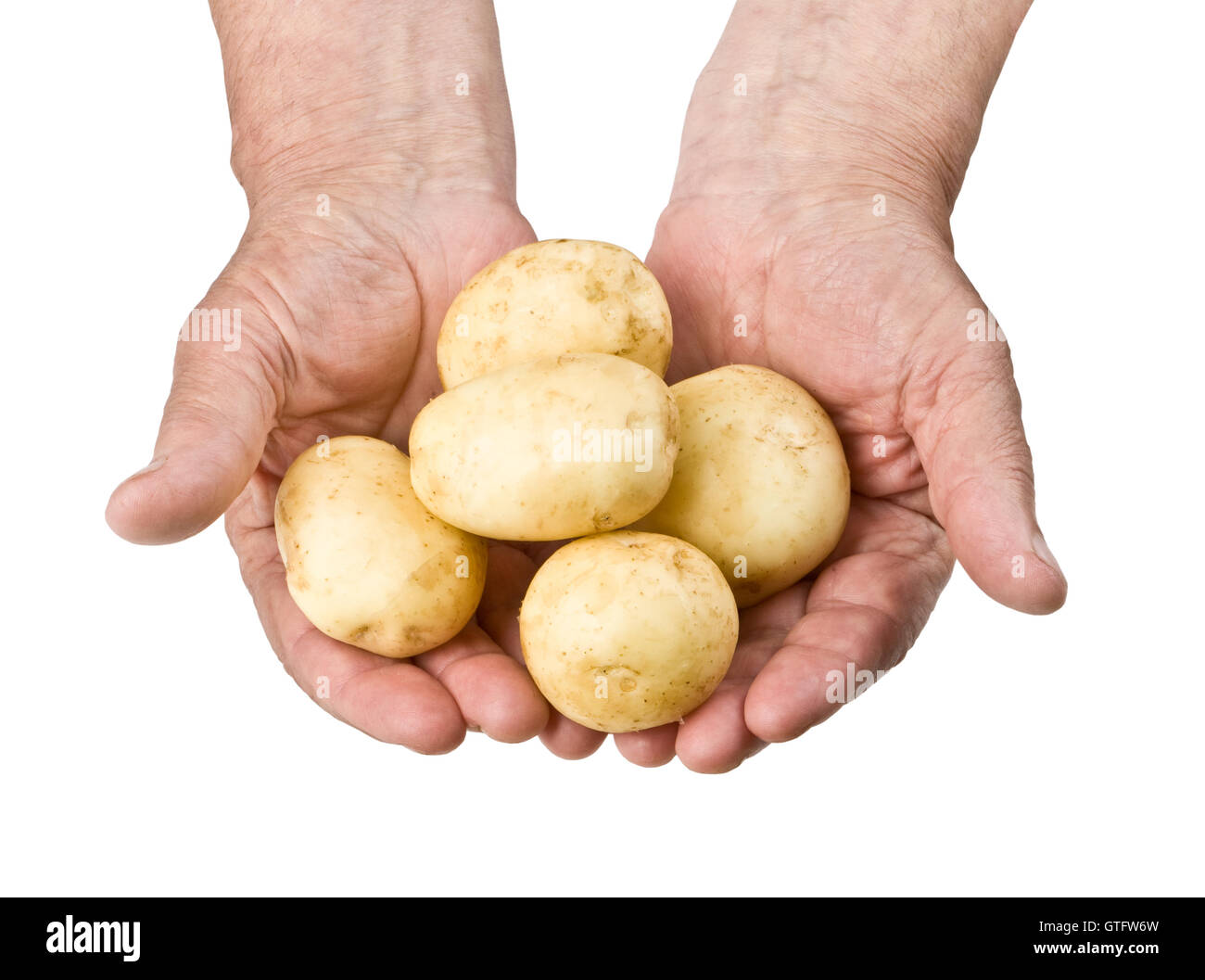Fresh raw potato Stock Photo - Alamy