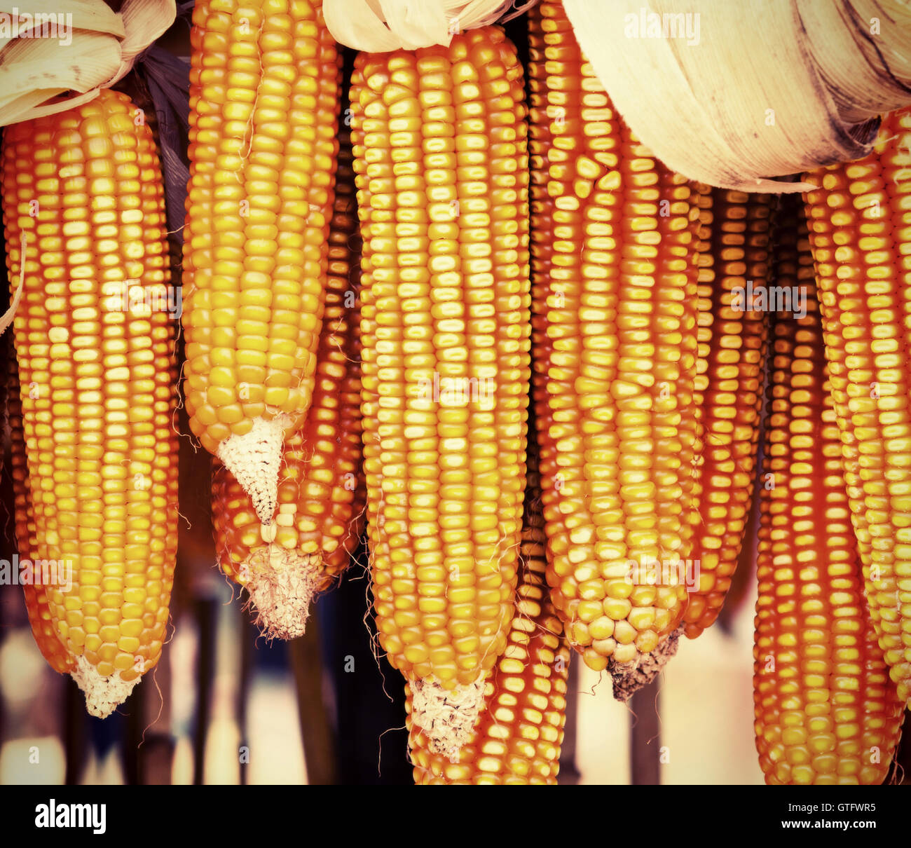 Lomo hi-res stock photography and images - Alamy