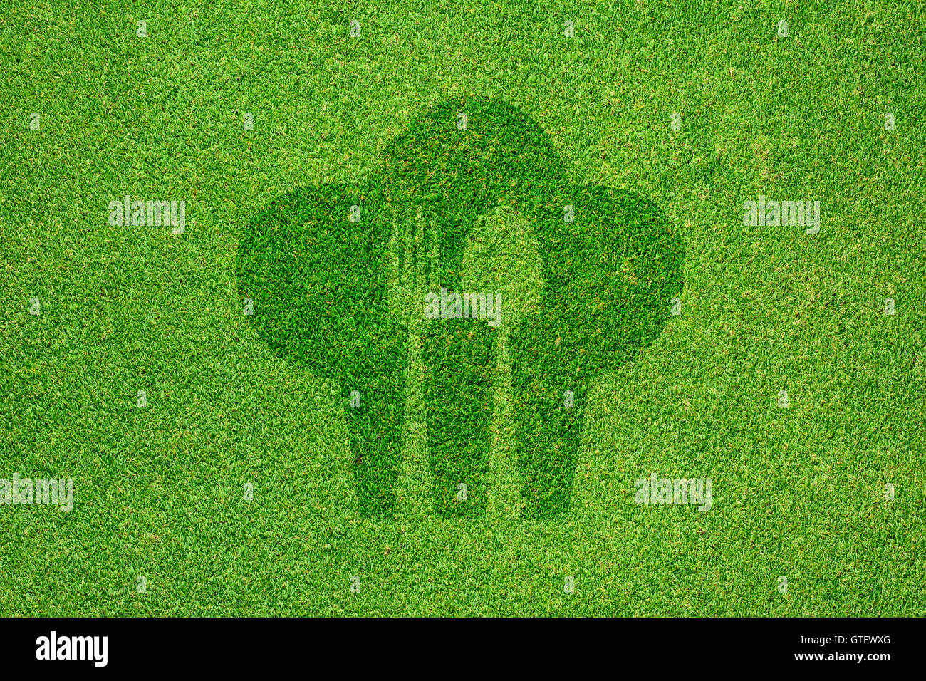 Cook and spoon on green grass texture and background Stock Photo - Alamy