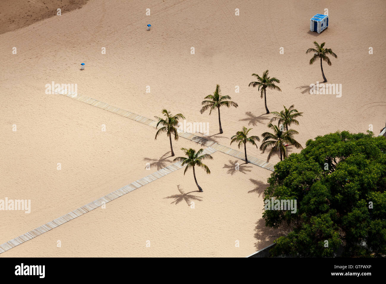 palm trees on an empty beach Stock Photo - Alamy