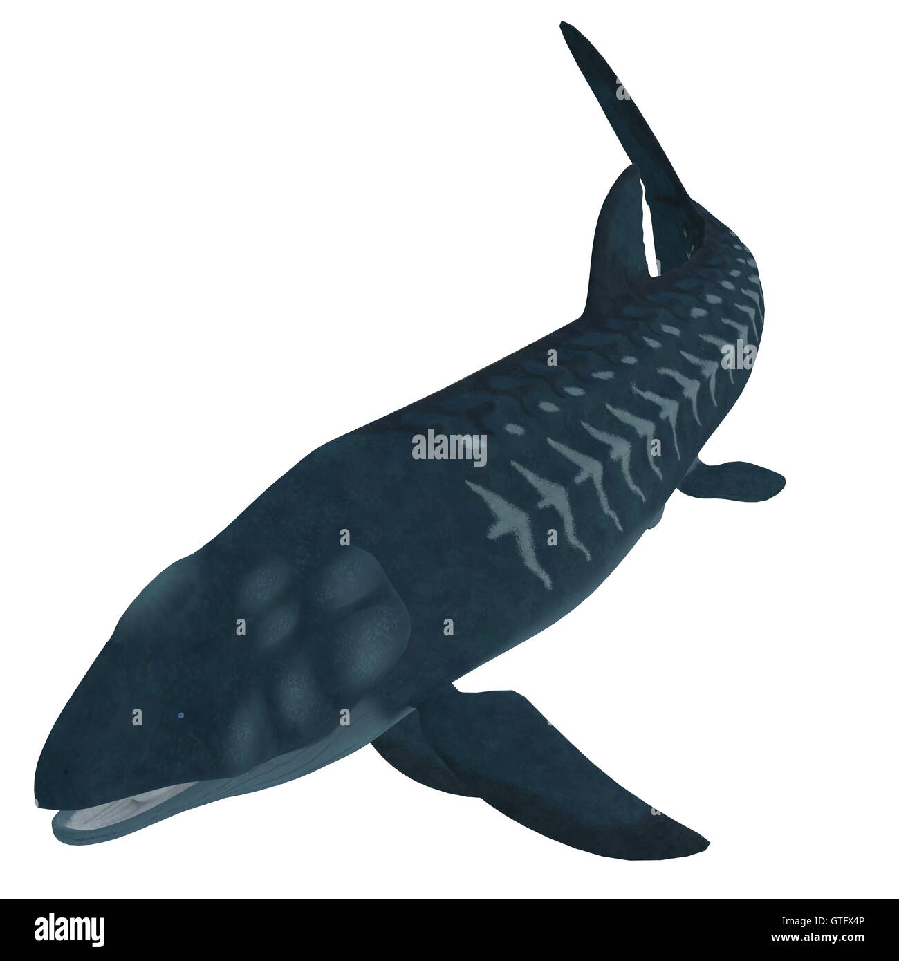 Fish evolution Cut Out Stock Images & Pictures - Alamy