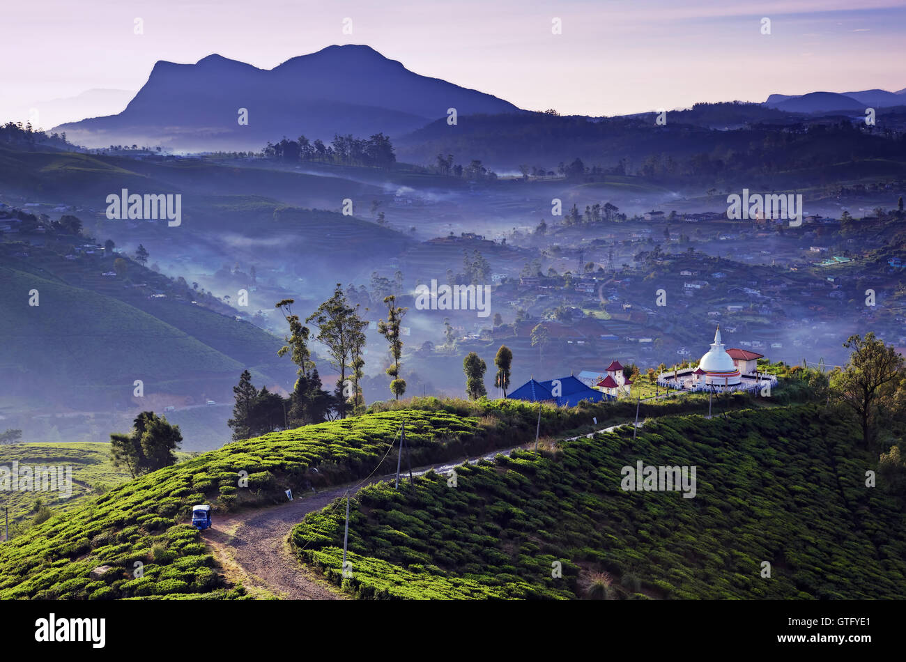 View from Single Tree Hill outside Nuwara Eliya, Sri Lanka Stock Photo ...