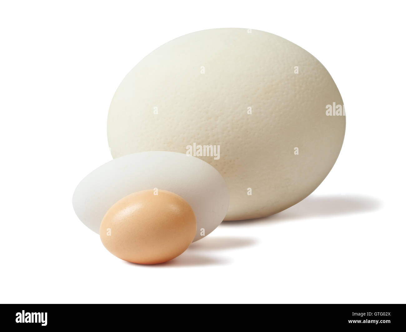 Difference size Cut Out Stock Images & Pictures - Alamy