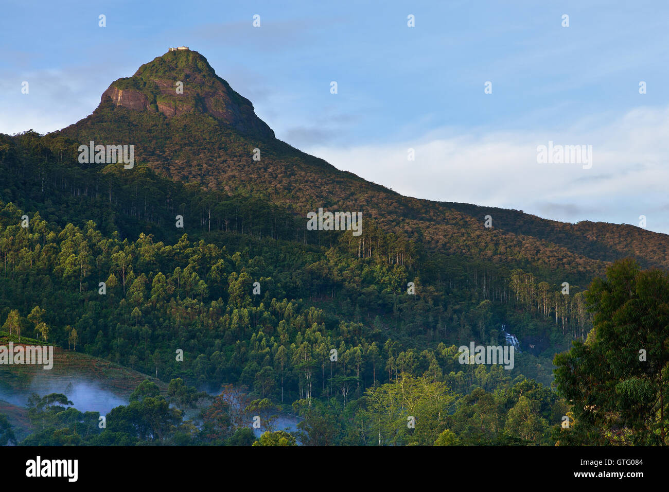 Adam's Peak (Sri Pada) in Sri Lanka at sunrise Stock Photo - Alamy