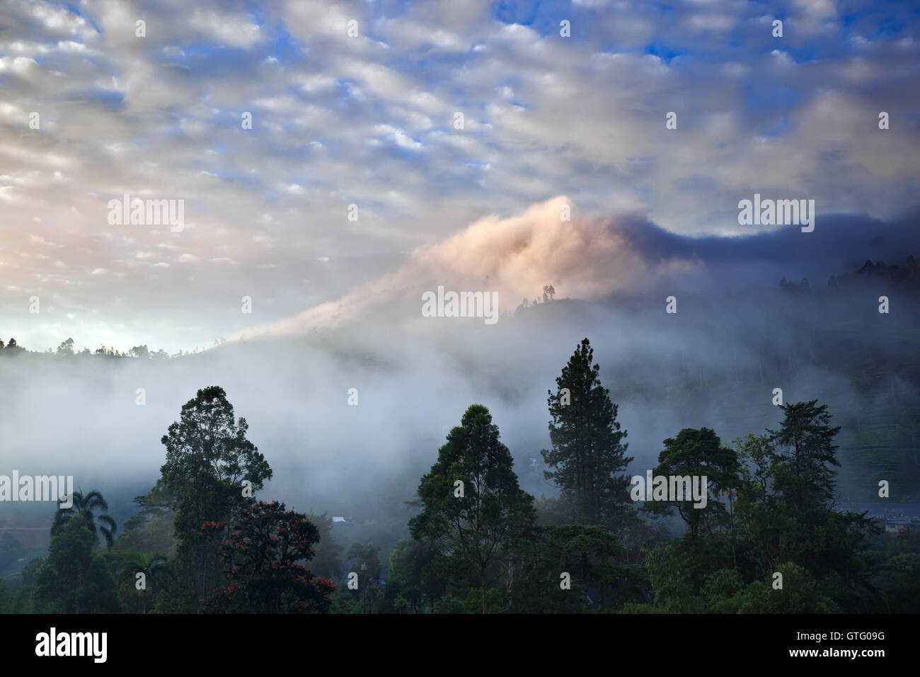 Sri pada hi-res stock photography and images - Alamy