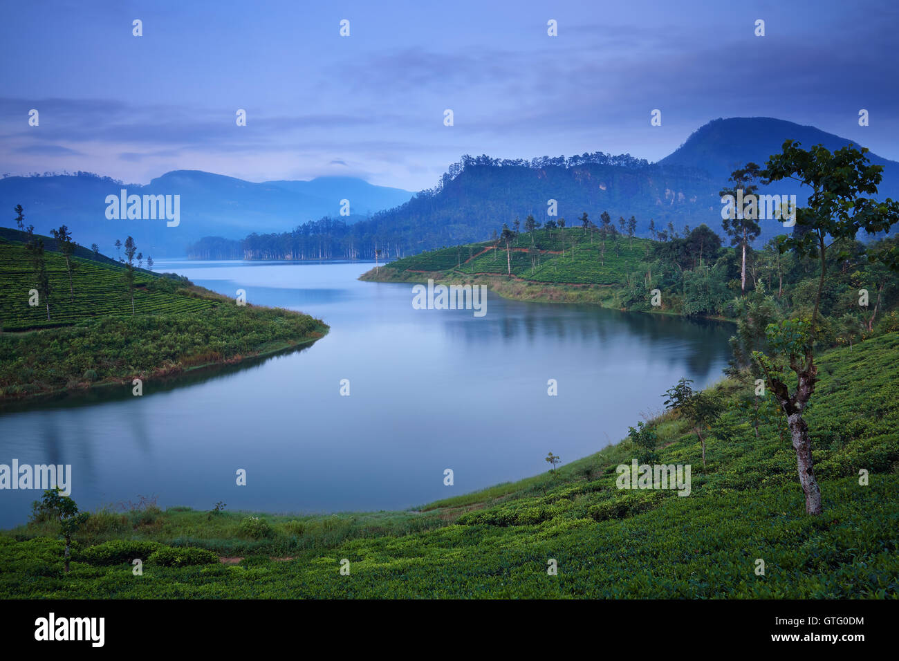 Adam's Peak (Sri Pada) in Sri Lanka at sunrise Stock Photo - Alamy