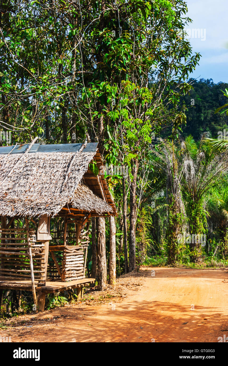 hut on the road in the jungle on the Phuket in Thailand Stock Photo - Alamy