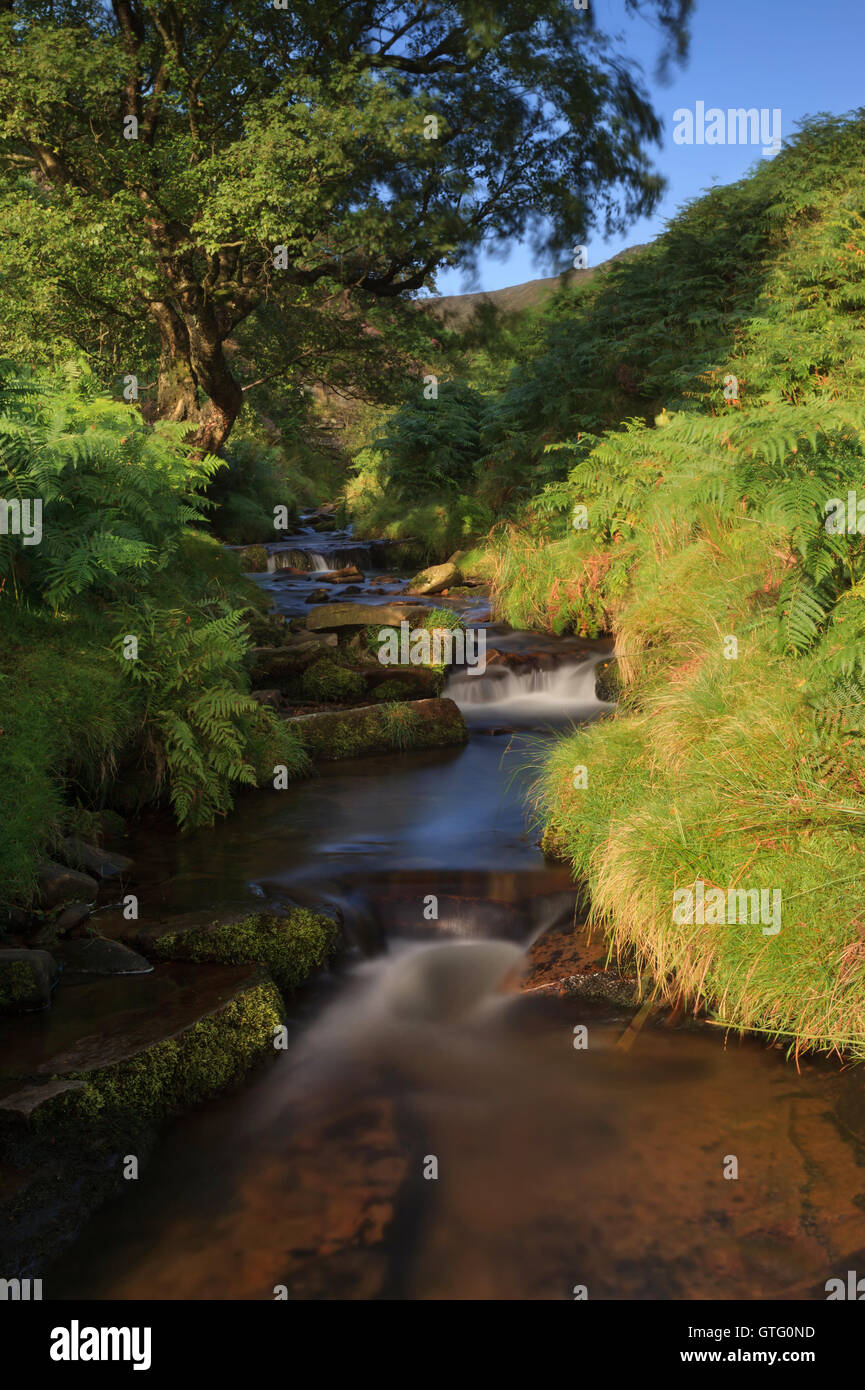 Fairbrook in the Peak District Stock Photo - Alamy