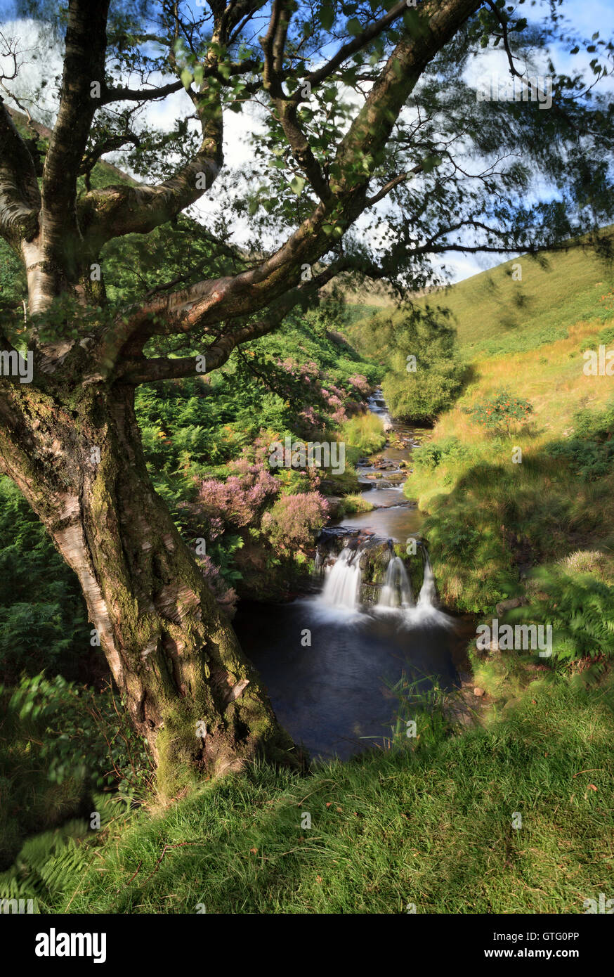 Fairbrook in the Peak District Stock Photo - Alamy