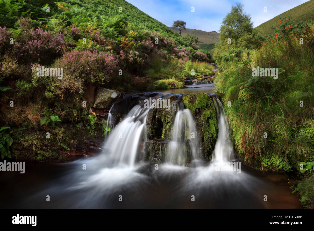 Fairbrook in the Peak District Stock Photo - Alamy