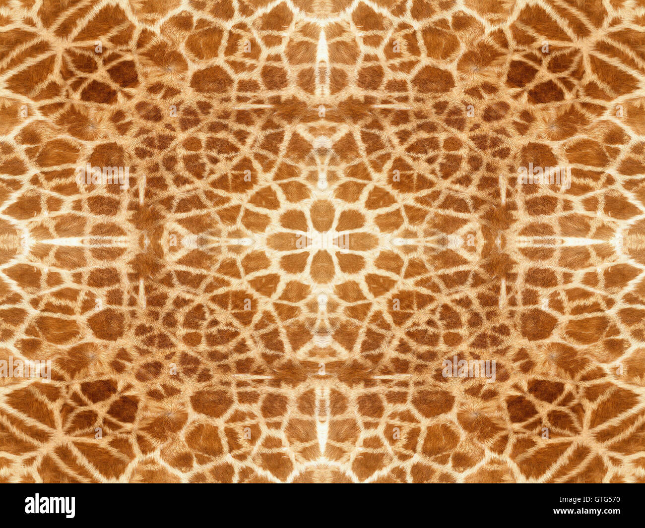 Abstract orange and white giraffe skin pattern Stock Photo - Alamy