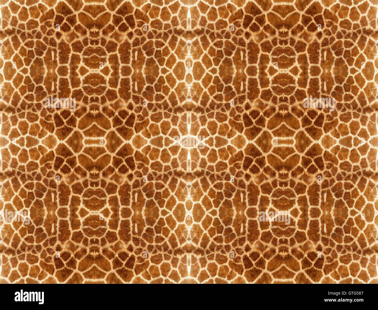 Giraffe Skin Pattern High Resolution Stock Photography and Images - Alamy
