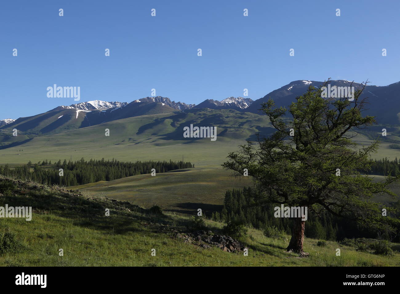 Altai region Russia mountain landscapes Stock Photo - Alamy