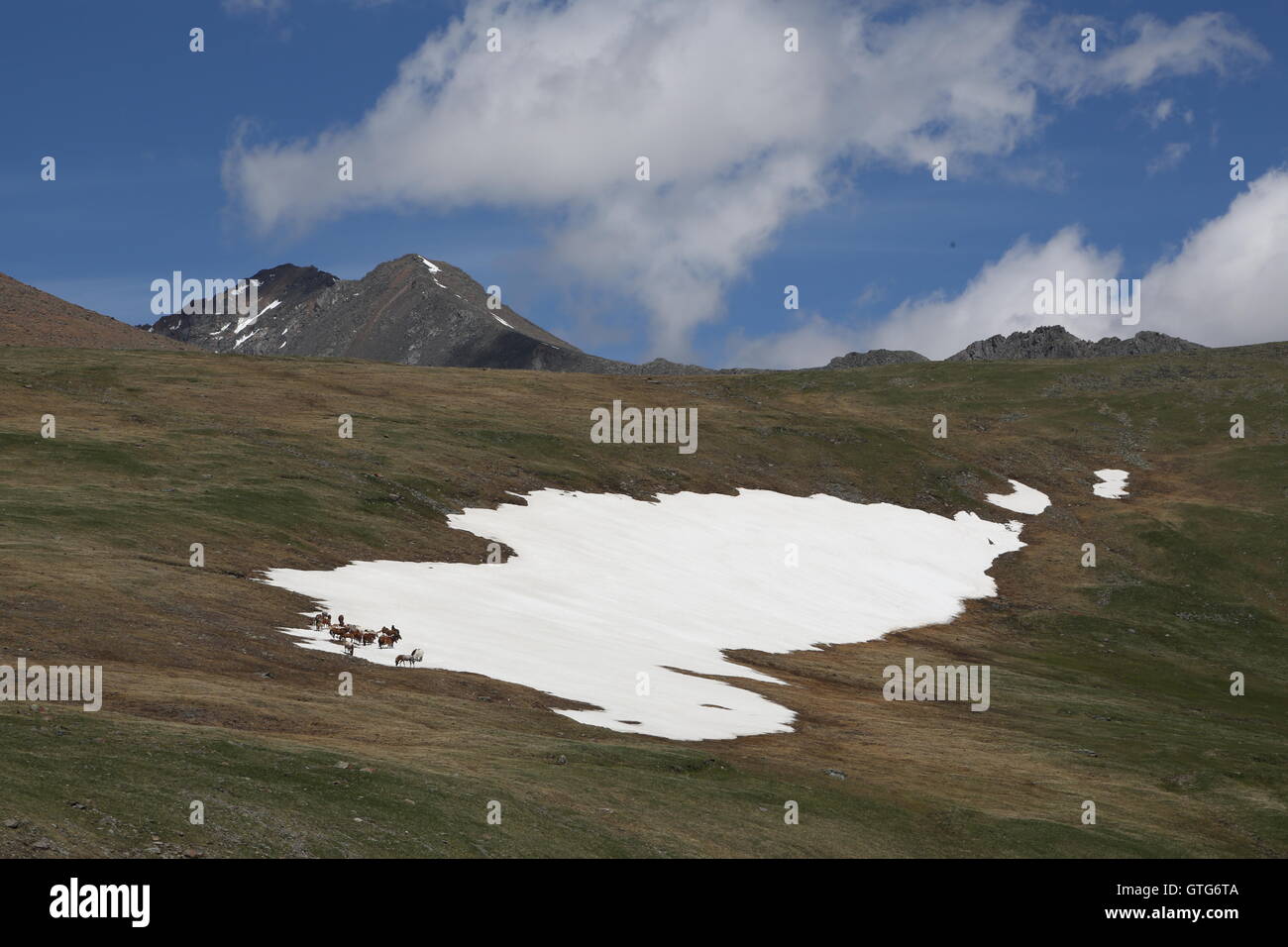Altai region russia mountain landscapes hi-res stock photography and ...