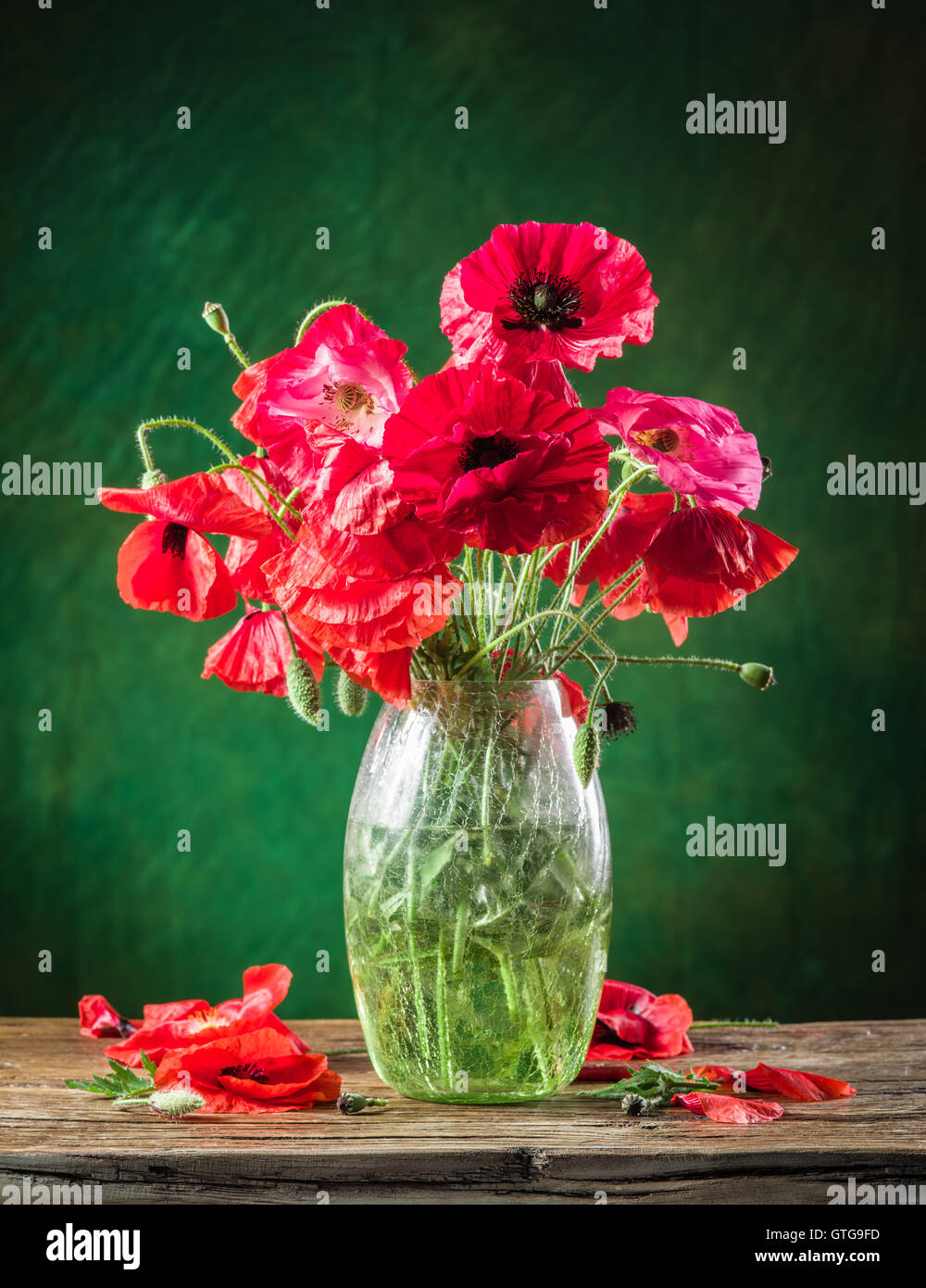 Vintage poppy wallpaper hi-res stock photography and images - Alamy