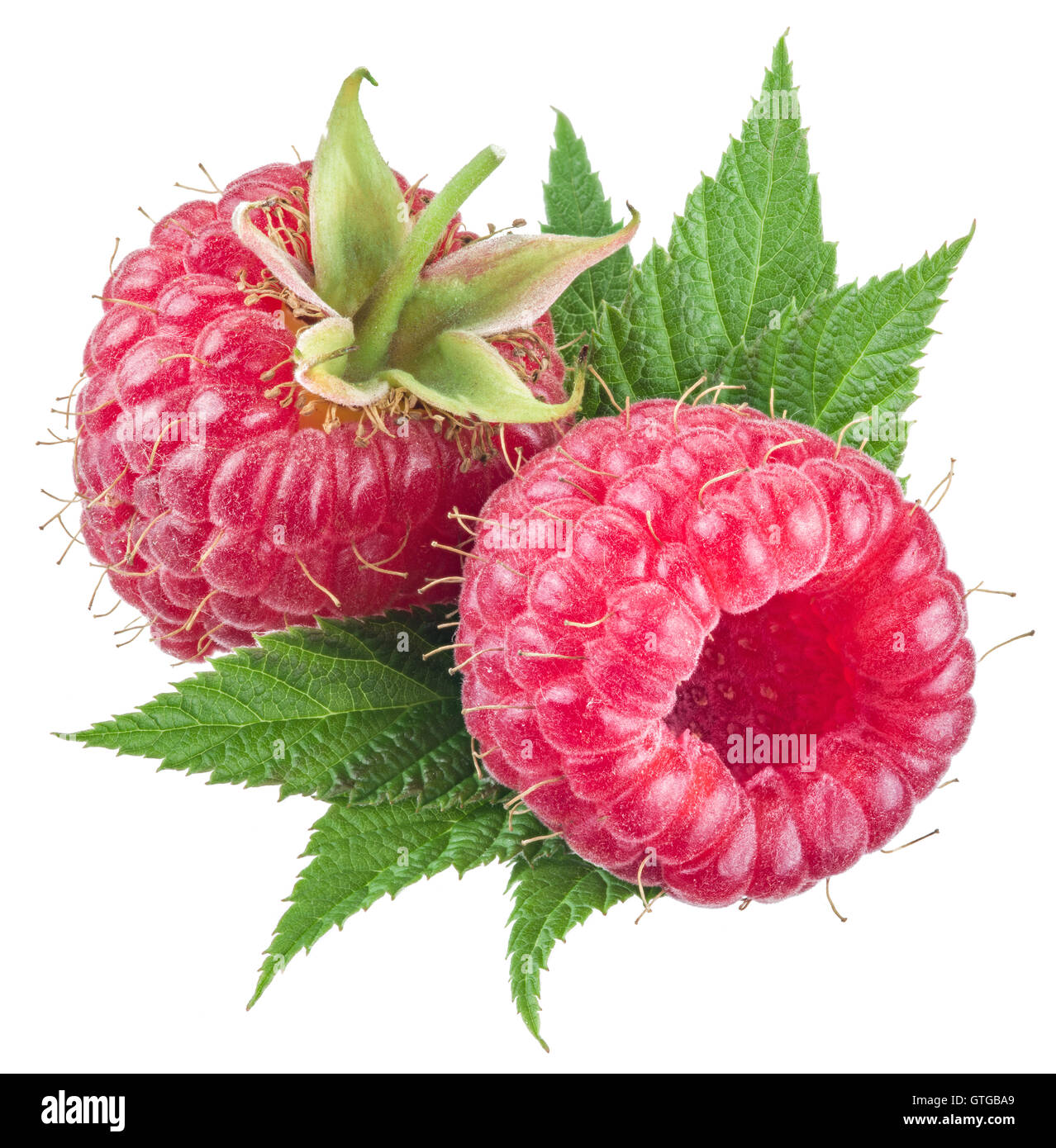 Two raspberries with leaves on the white background Stock Photo - Alamy