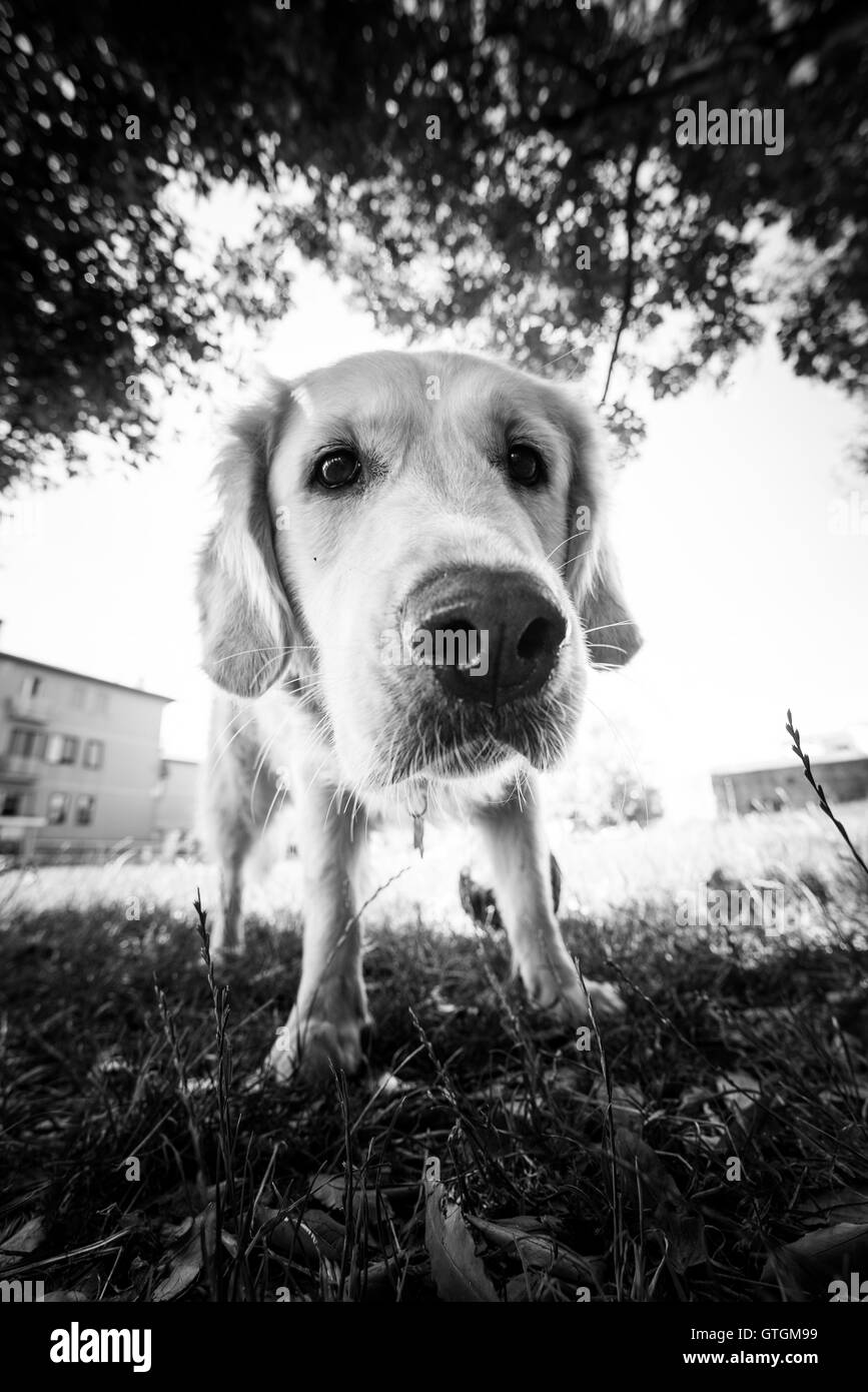 Samyang 14mm hi-res stock photography and images - Alamy