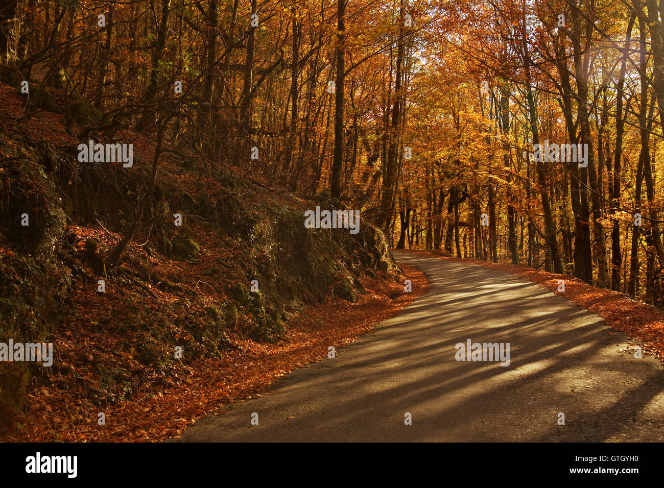 Autumn landscape with road and beautiful colored trees, in Geres ...